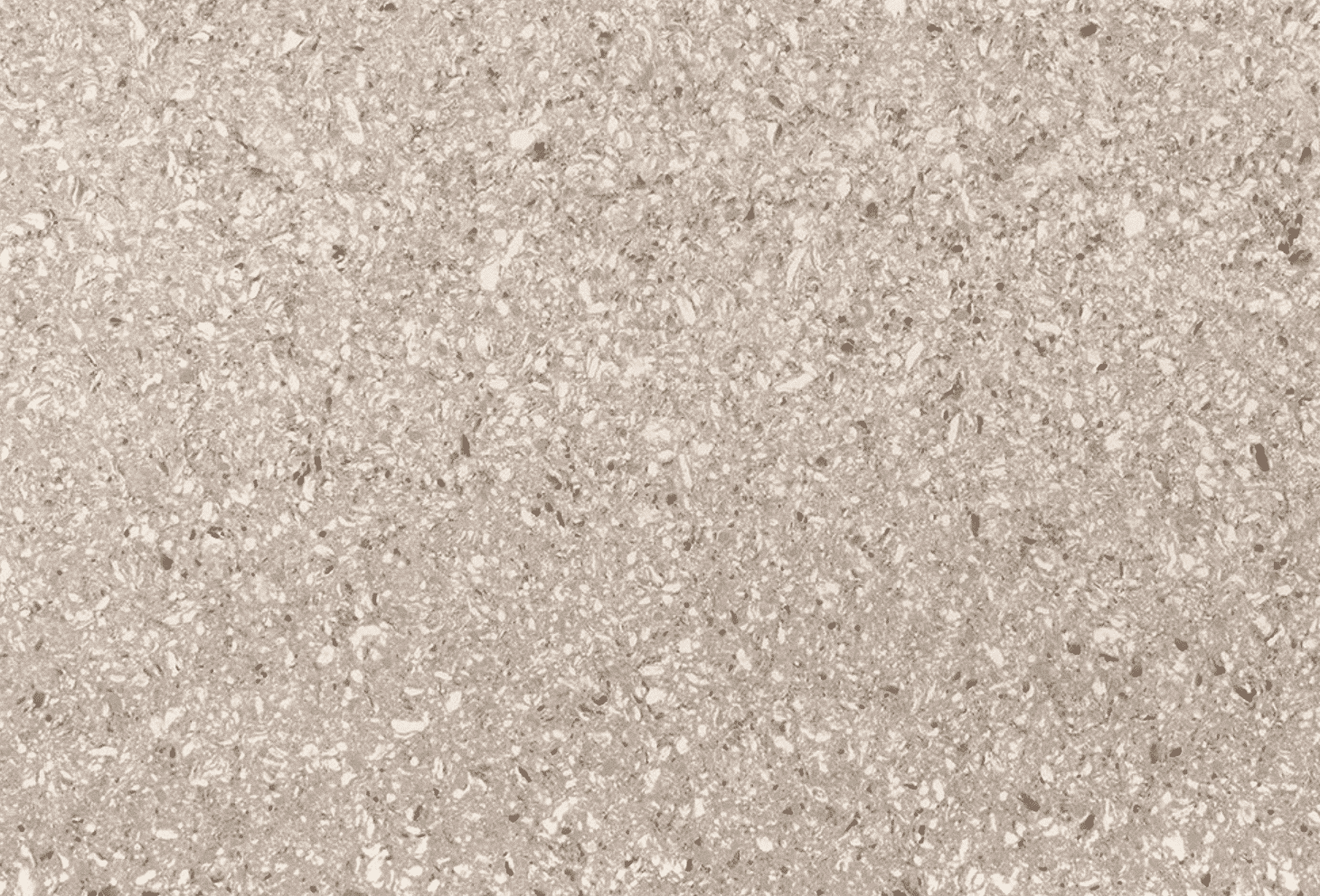 5 Top Quartz Countertops Colors for 2026 in Charleston